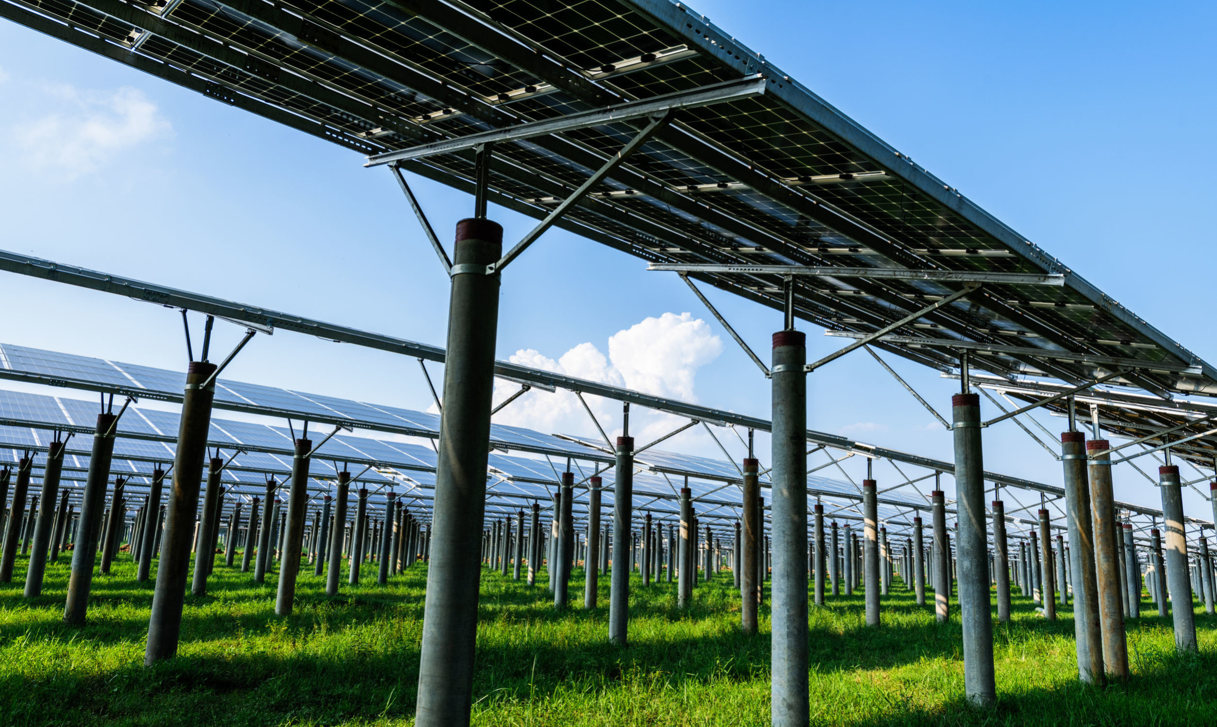 Agrivoltaico in Italia: progetti approvati, bandi PNRR e vantaggi per l ...