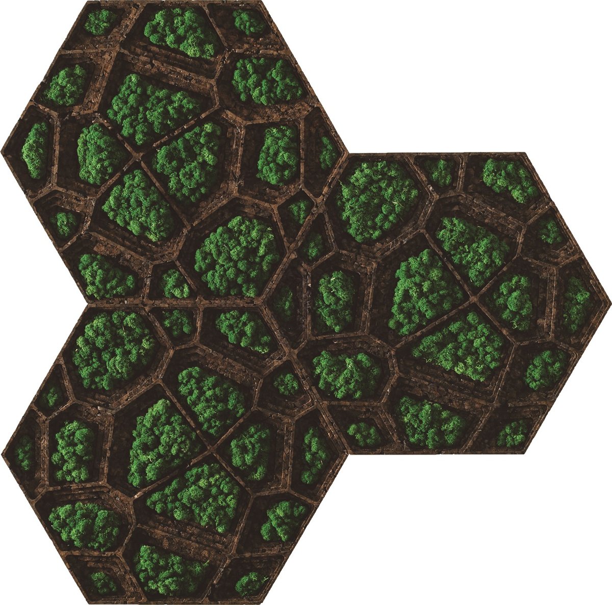 Gencork Becomes Bigger and Greener