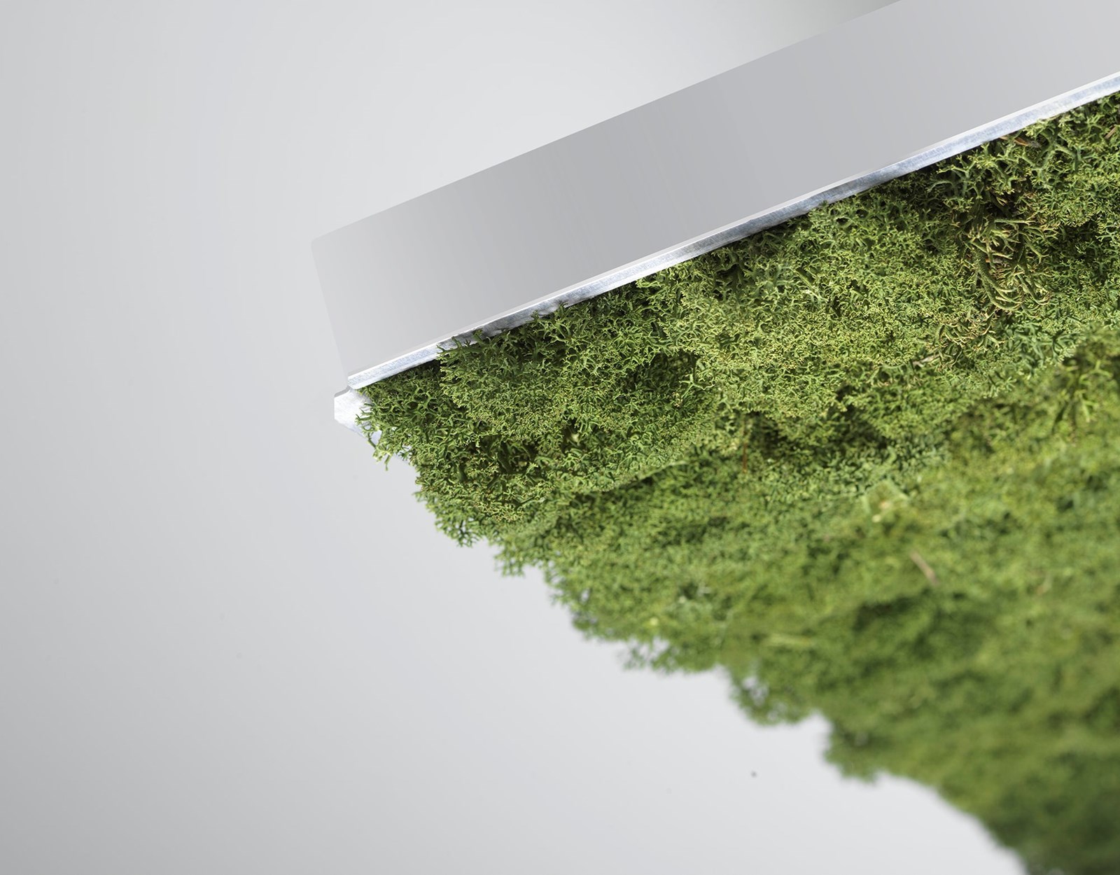 Organic Scandinavian Reindeer Moss by Nordgröna