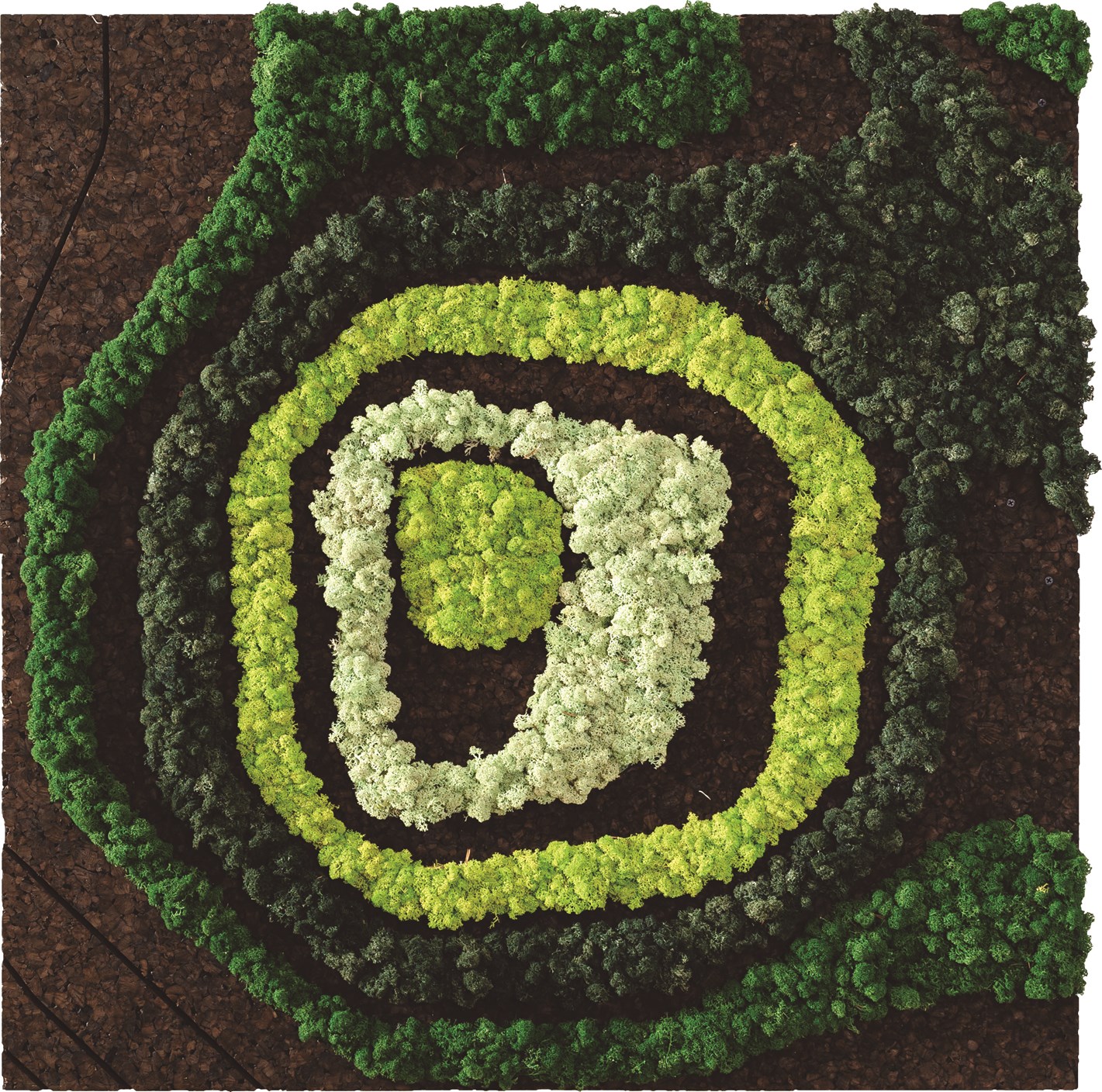 Gencork Becomes Bigger and Greener