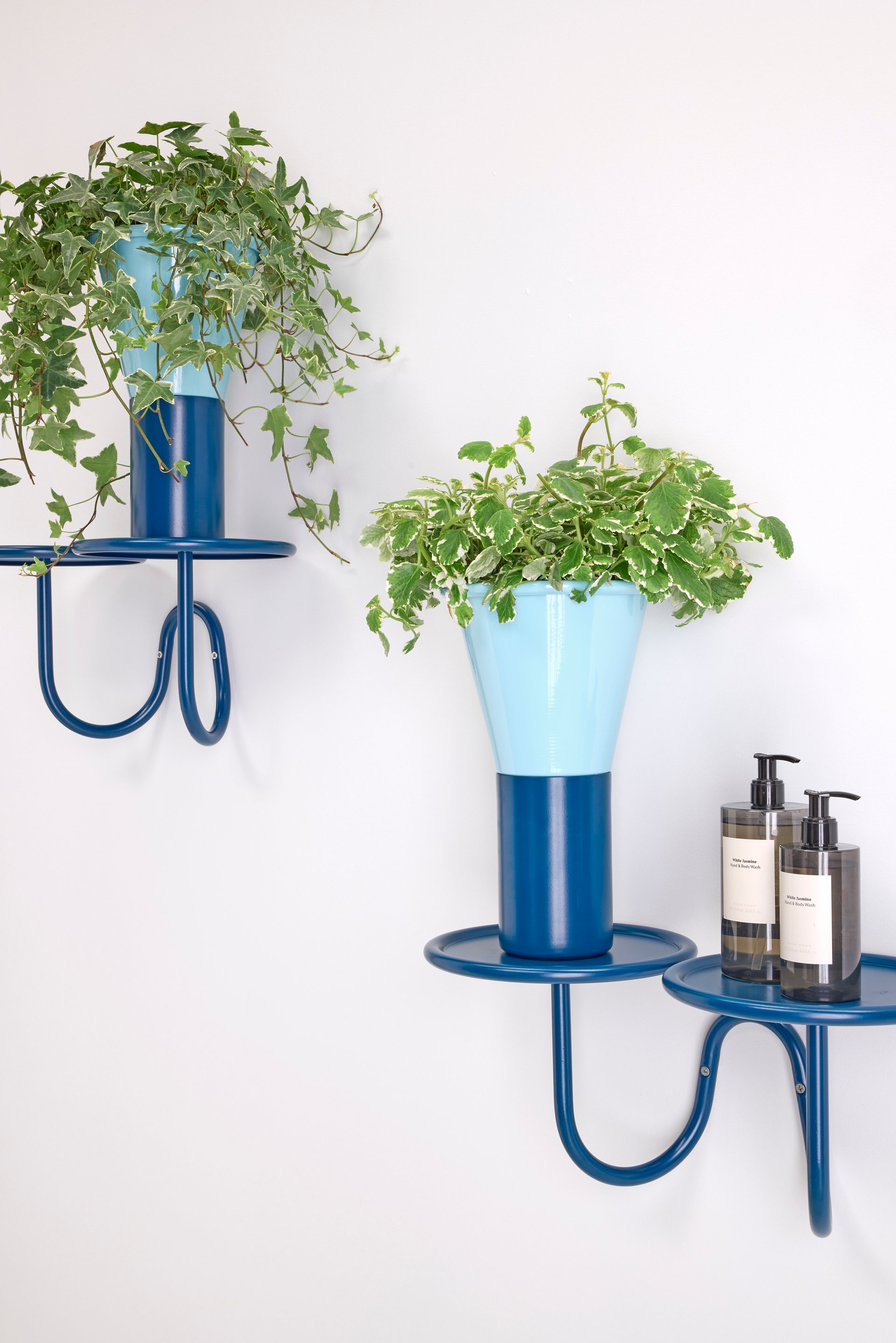 Mimosa, the S-CAB plant holders and vases designed by Ionna Vautrin