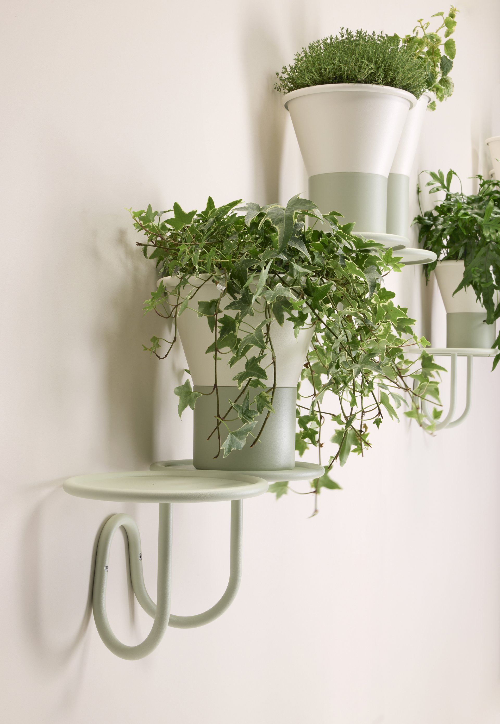 Mimosa, the S-CAB plant holders and vases designed by Ionna Vautrin