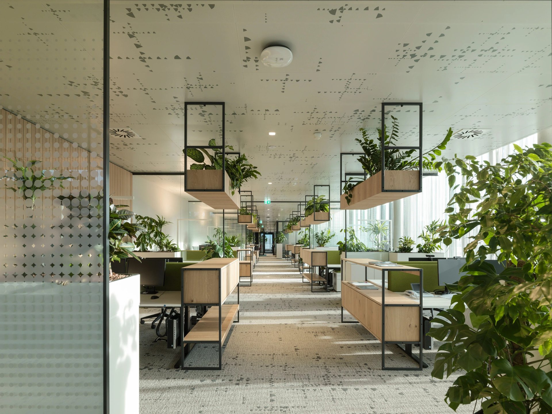 Furnishing the office with biophilic design