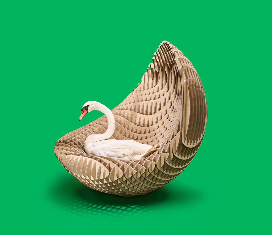 Alpi wood according to Ron Arad: the 'If I were a carpenter' project