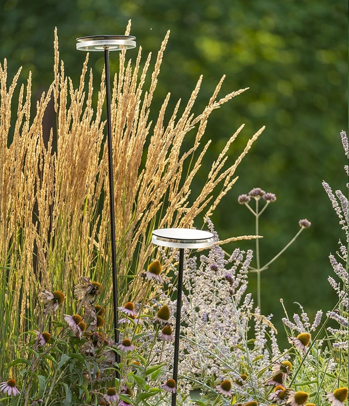 Outdoor lighting Platek: new Green Forest nuance