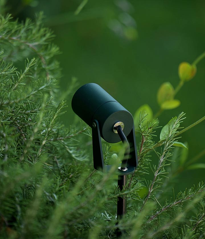Outdoor lighting Platek: new Green Forest nuance