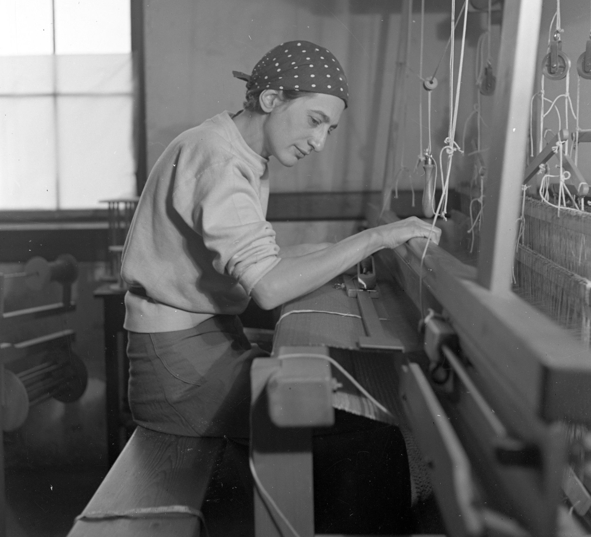Dedar fabrics pay tribute to Anni Albers