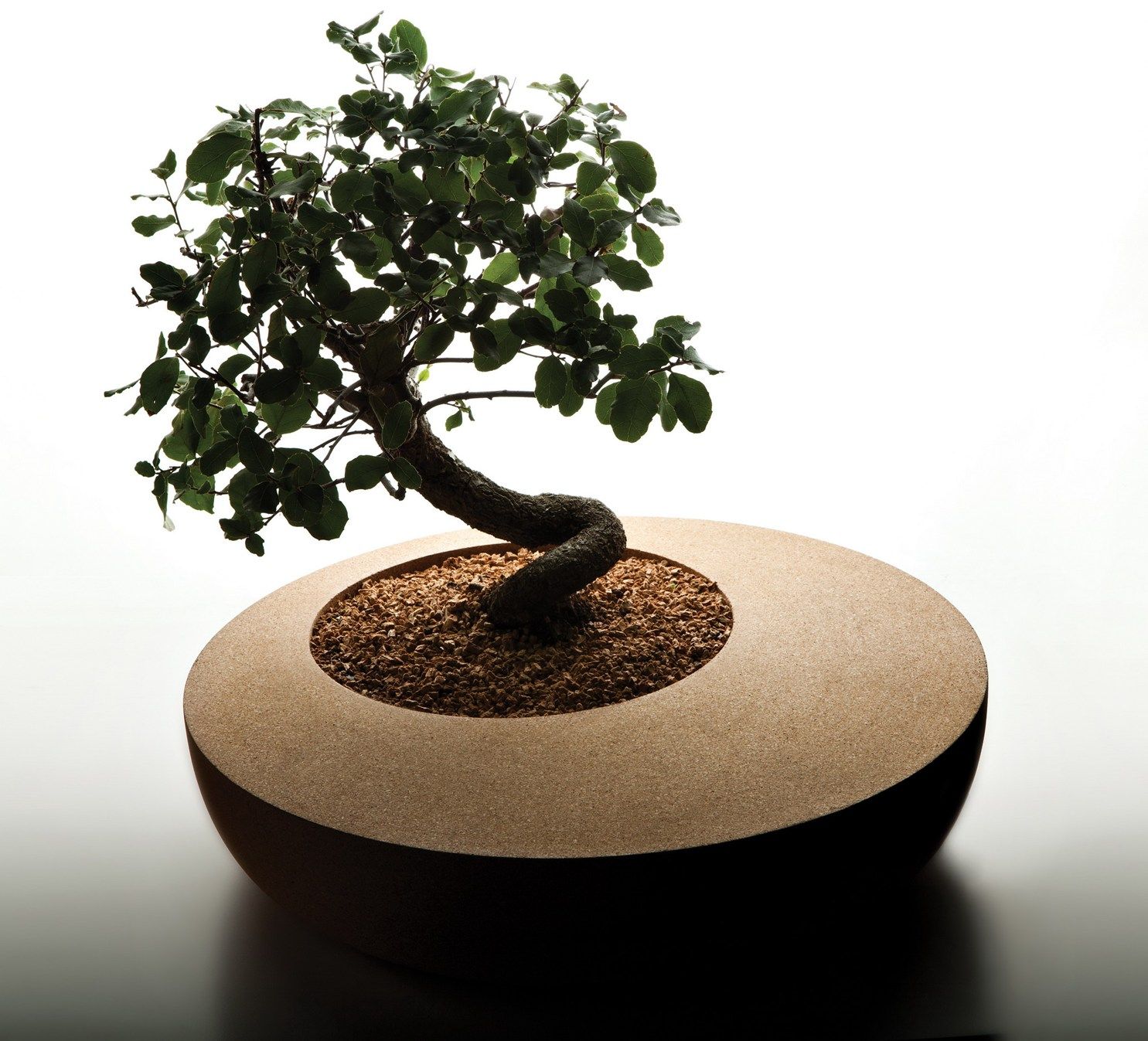 Granorte's cork fascinates London