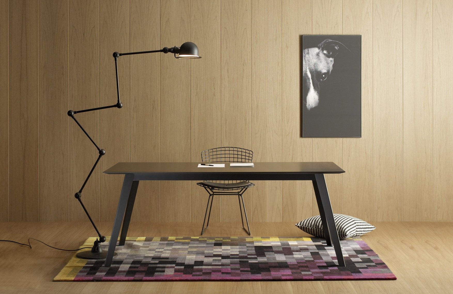 New versatile and customizable products by Treku