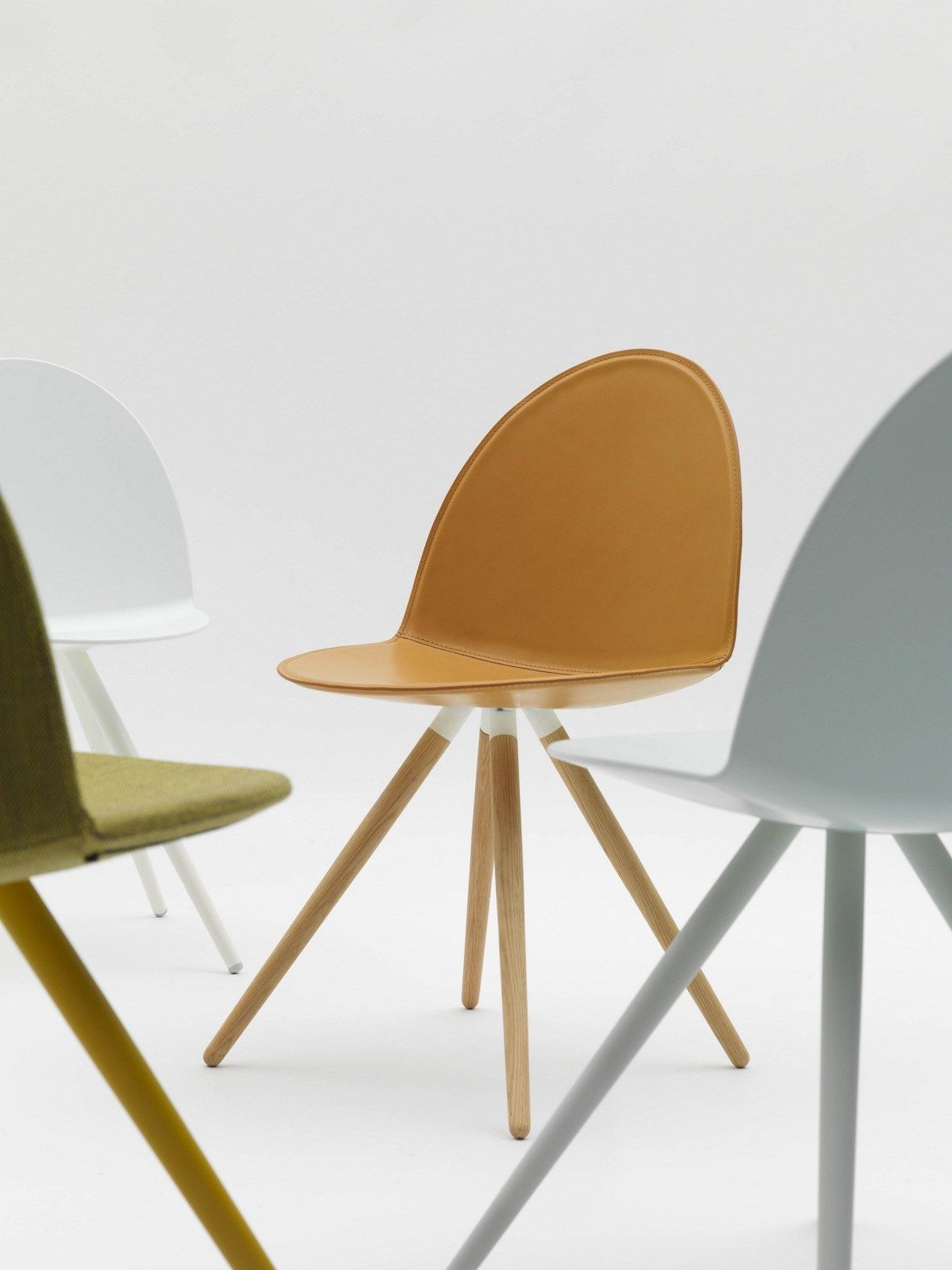 Segis + Bartoli Design