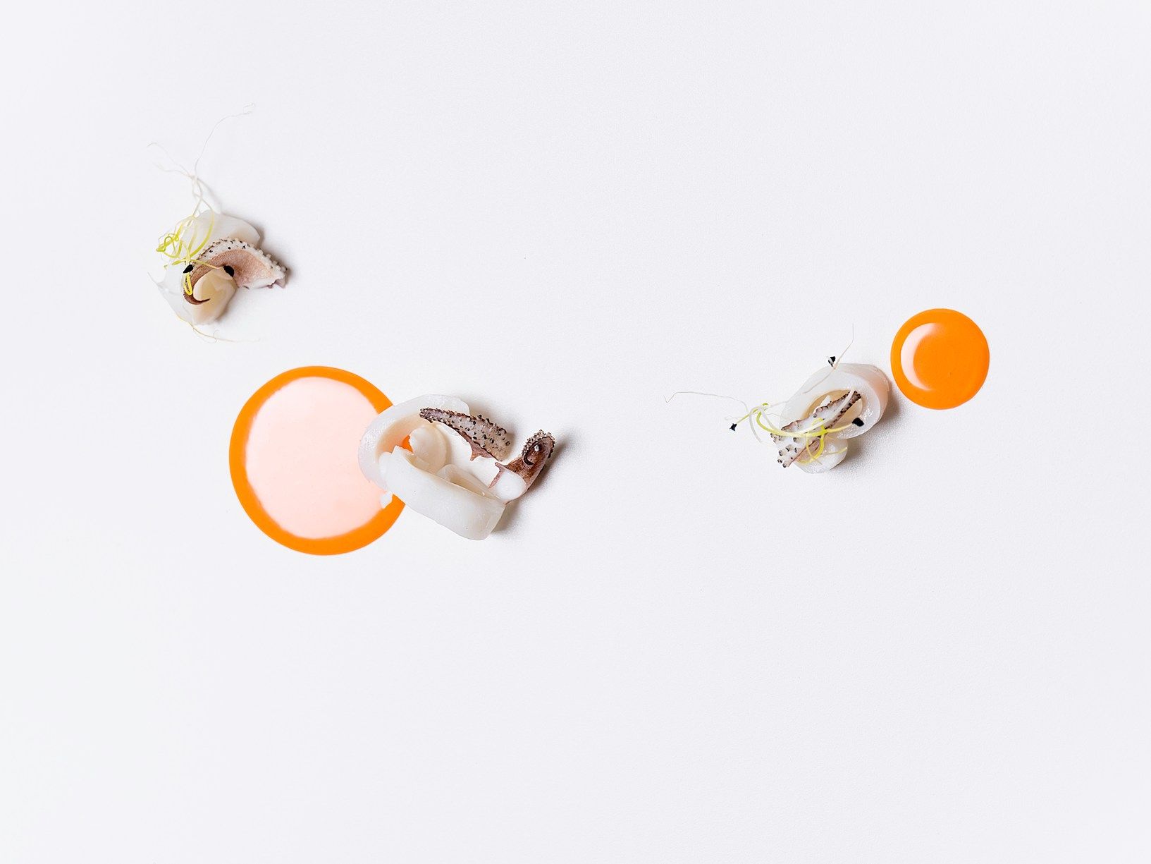 Bianco Assoluto in 12mm