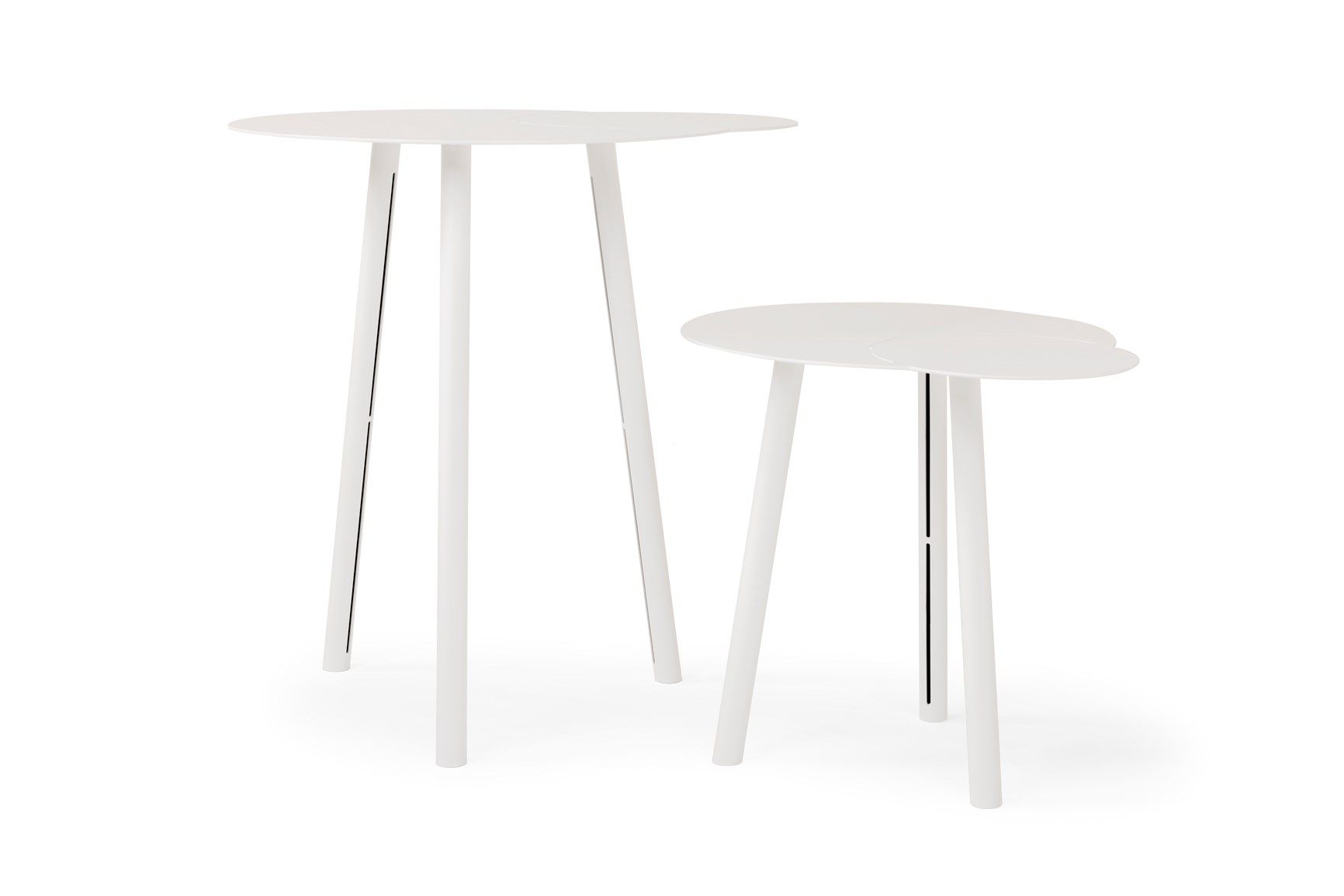 True Design 2018 collections