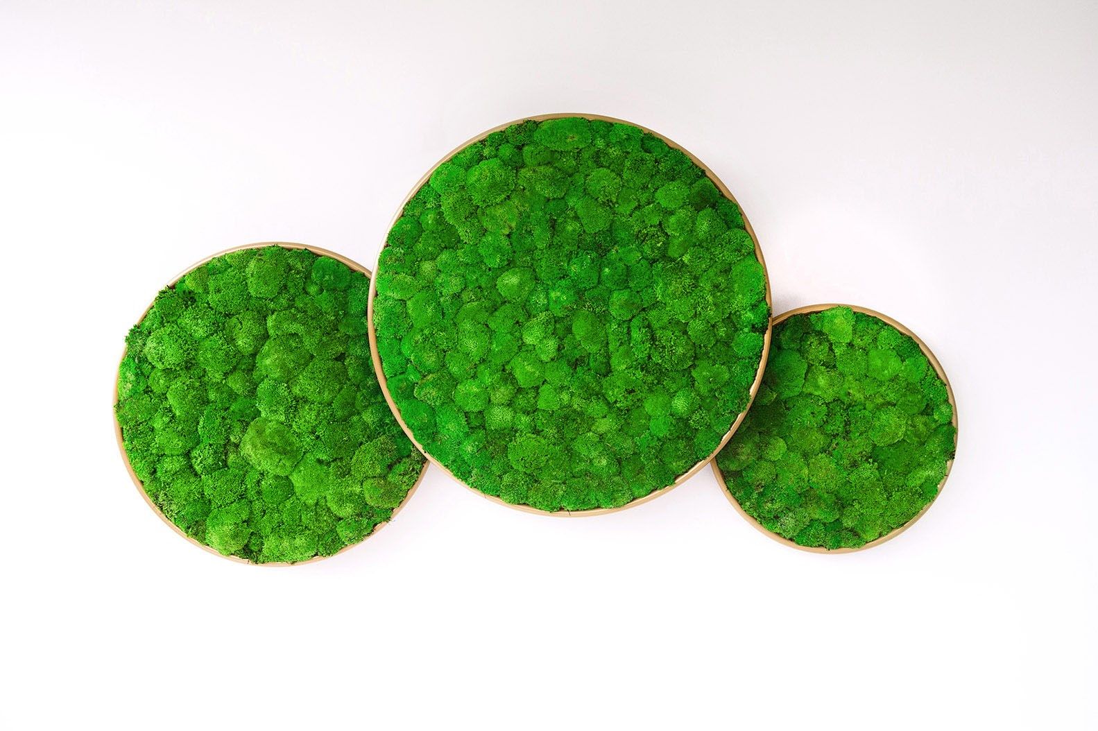 A touch of green lifestyle for everyday objects