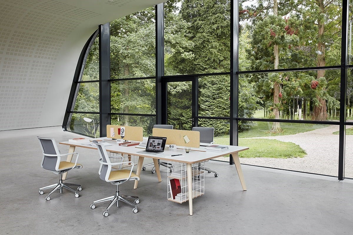 Senator Launches Pailo for Formal and Informal Working Spaces