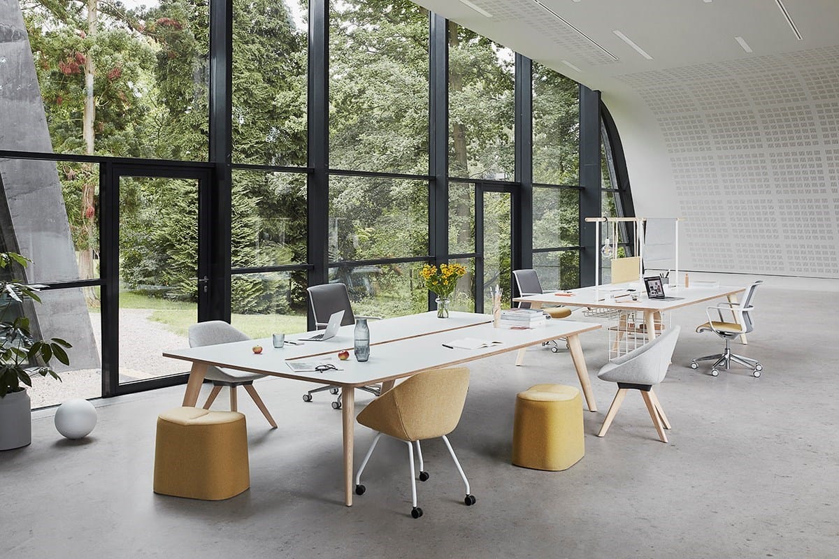 Senator Launches Pailo for Formal and Informal Working Spaces