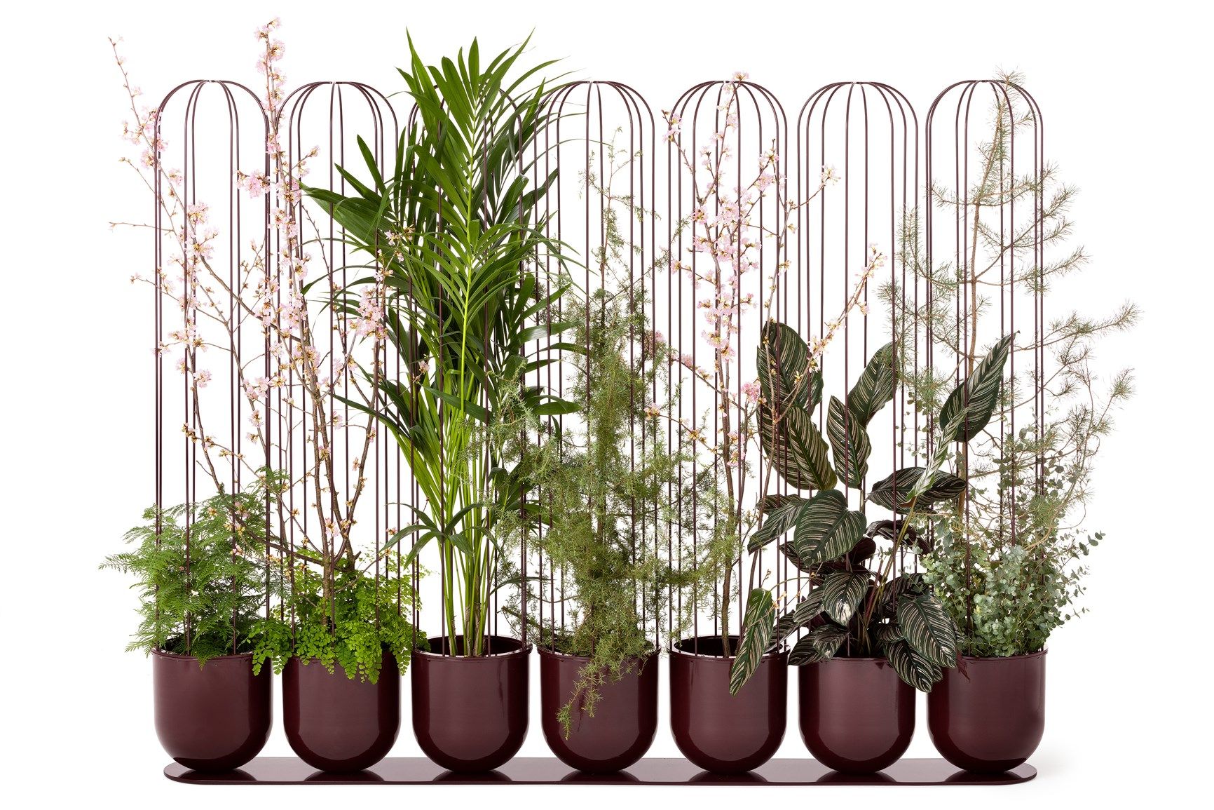 Integrating Greenery into Your Life