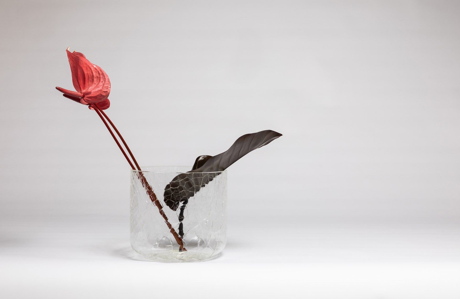 The Beauty of Glass and the Poetry of Light