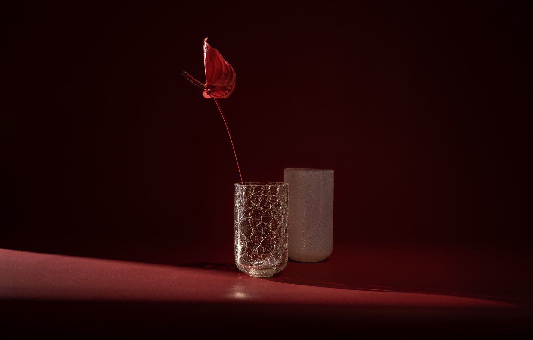 The Beauty of Glass and the Poetry of Light