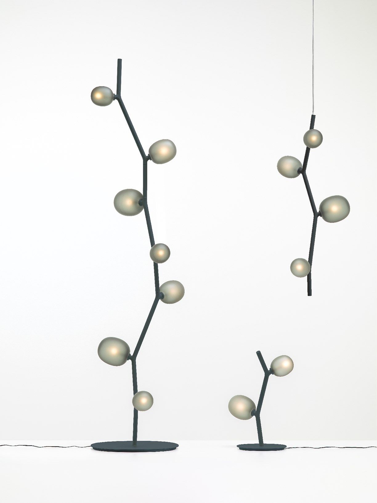 Paris in a New Light Too