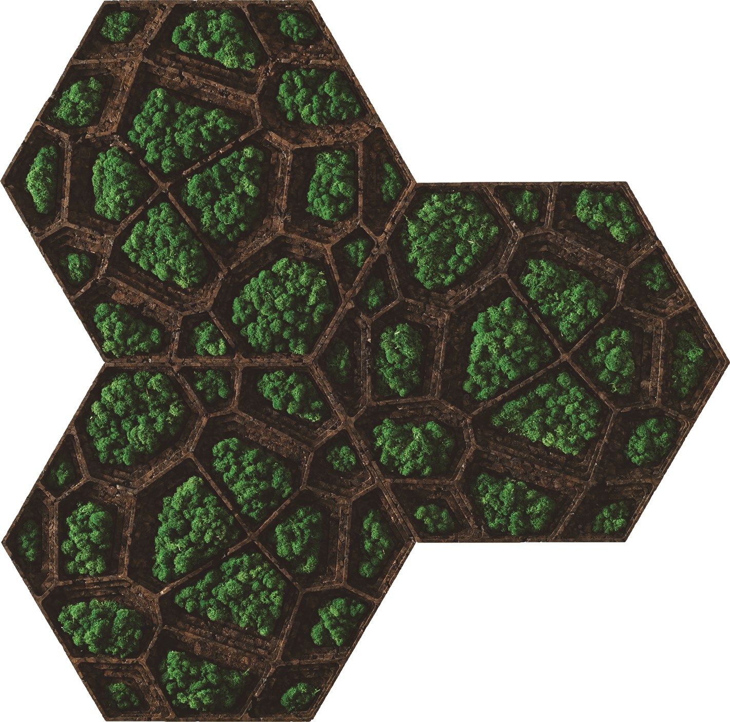 Gencork Becomes Bigger and Greener