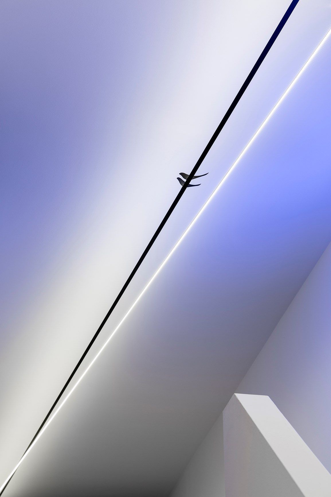 'Light is a Story'. Davide Groppi at BDW