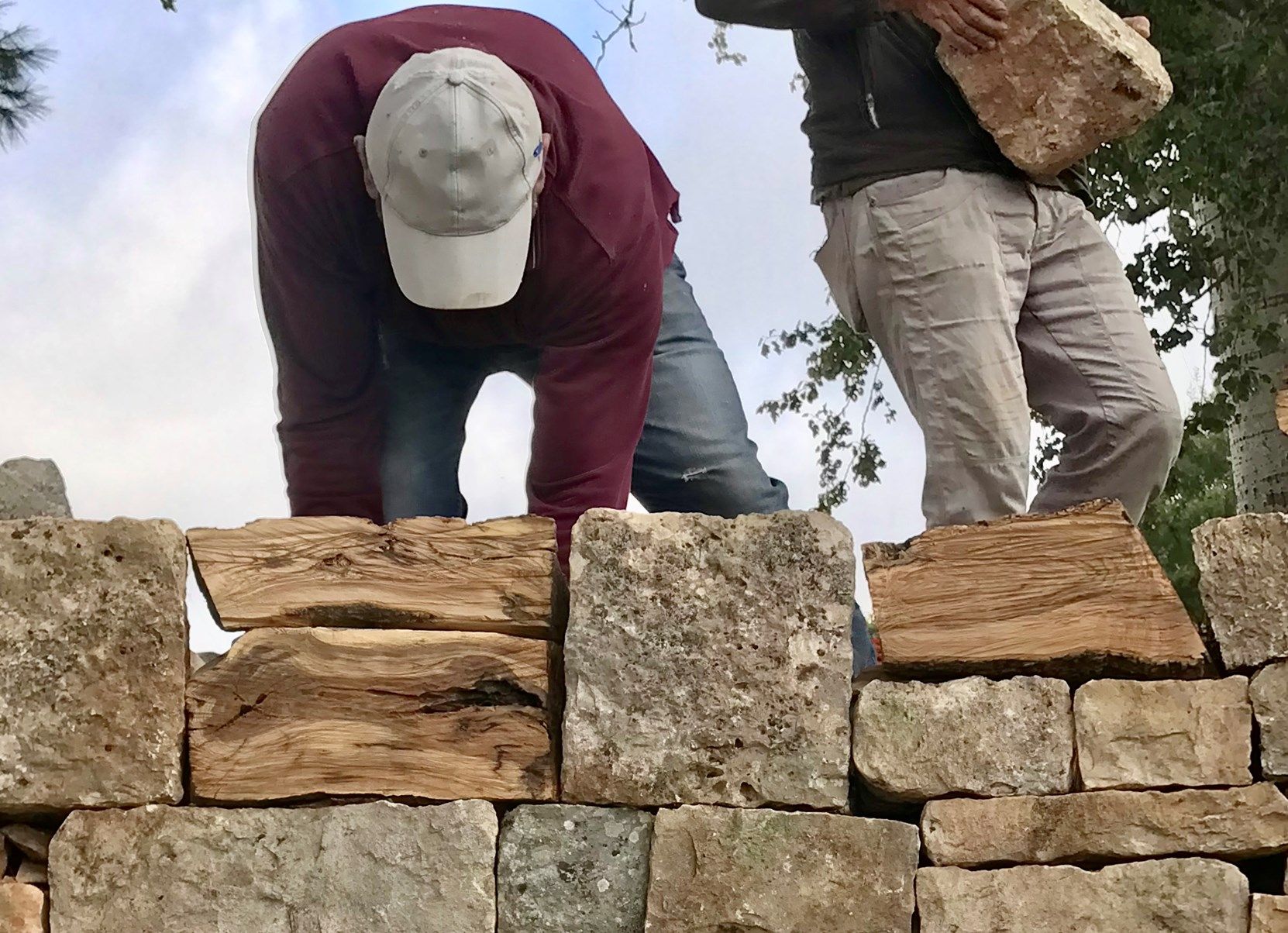 Puglia. Il muretto a secco è ricostruito con il legno degli ulivi ...