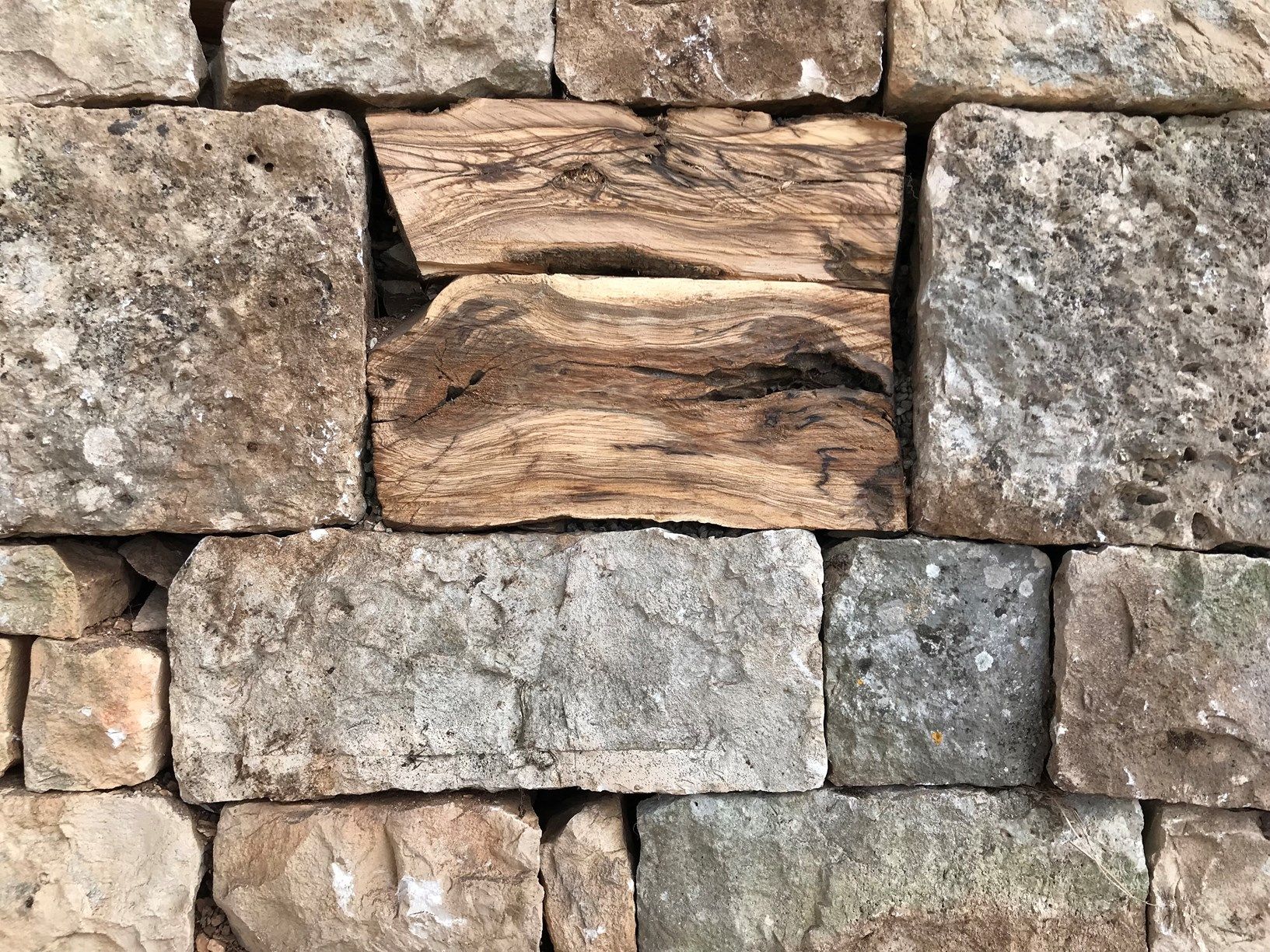 Puglia. Il muretto a secco è ricostruito con il legno degli ulivi ...