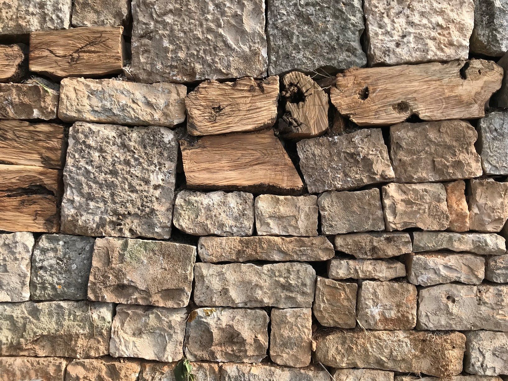 Puglia. Il muretto a secco è ricostruito con il legno degli ulivi ...