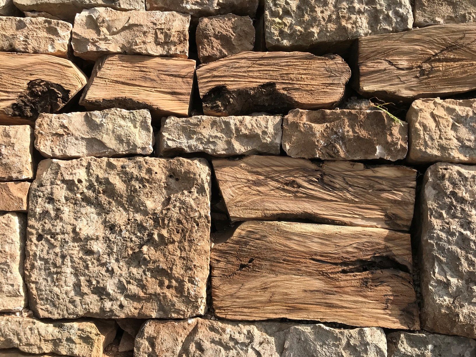 Puglia. Il muretto a secco è ricostruito con il legno degli ulivi ...