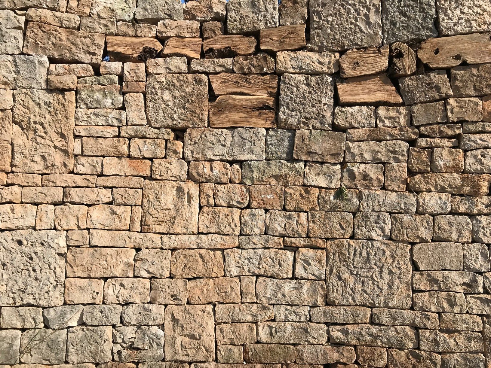 Puglia. Il muretto a secco è ricostruito con il legno degli ulivi ...