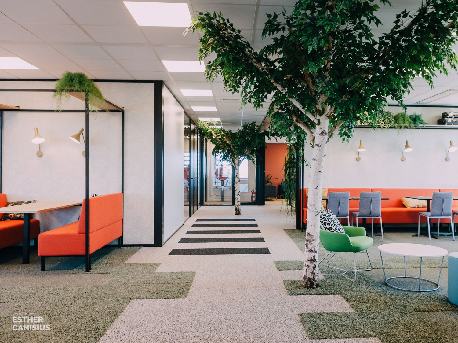 Furnishing the office with biophilic design
