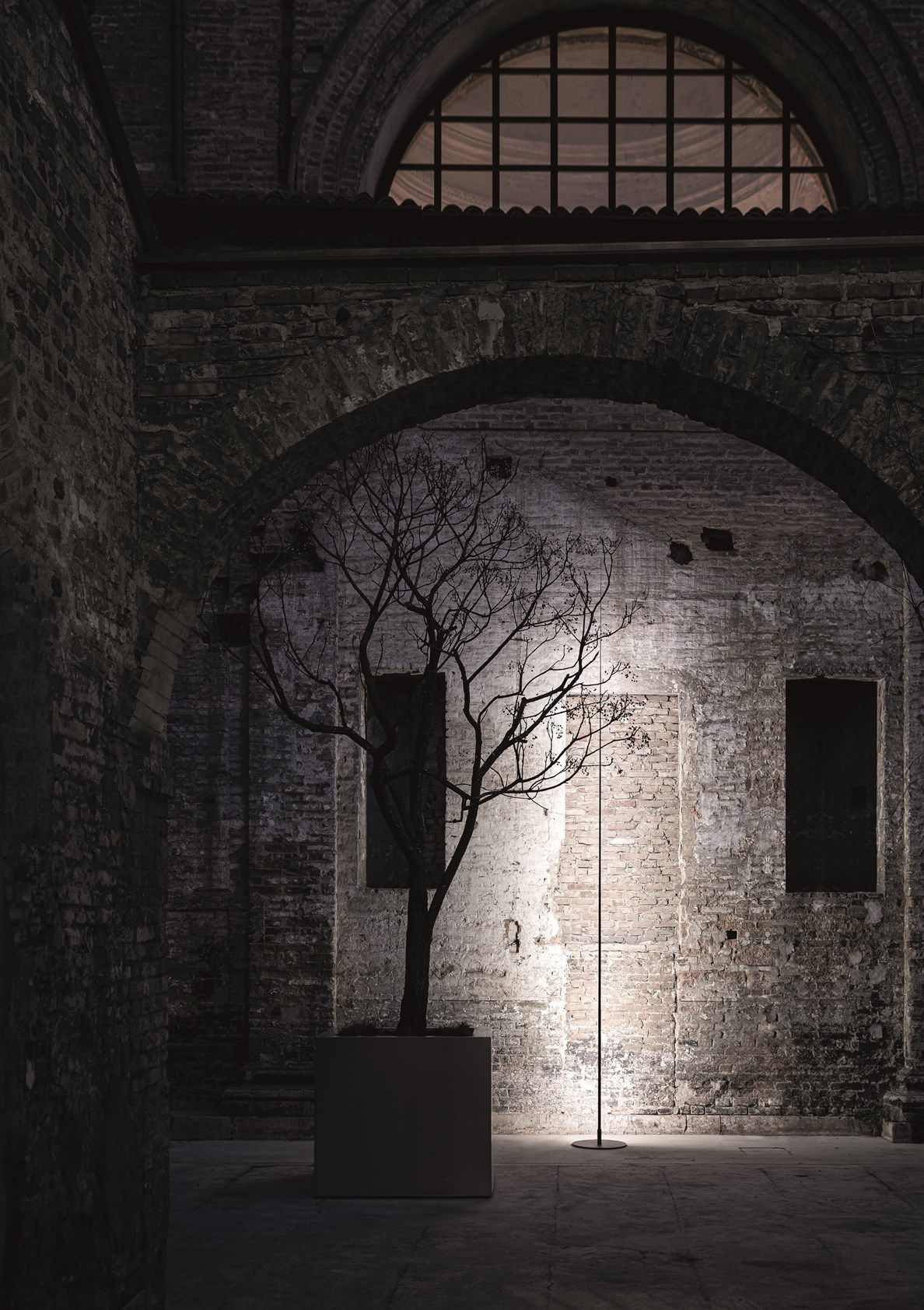 Light Emanating from the Earth Illuminates the Sky