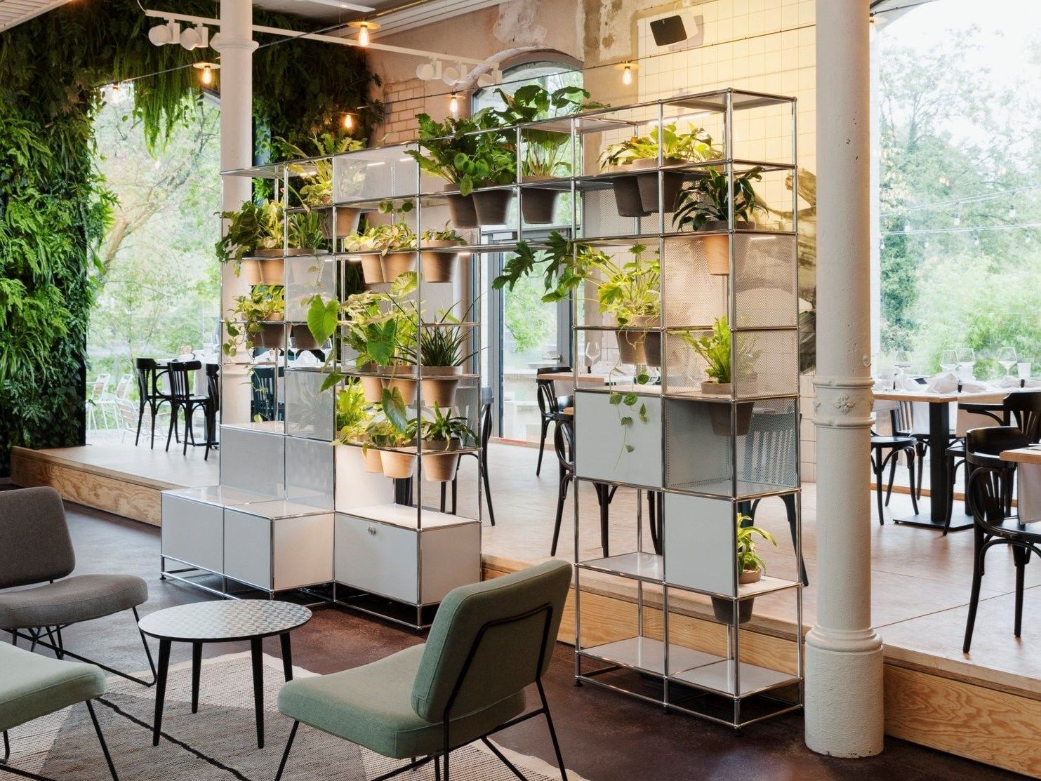 Metal Grid + Plants’ Organic Forms