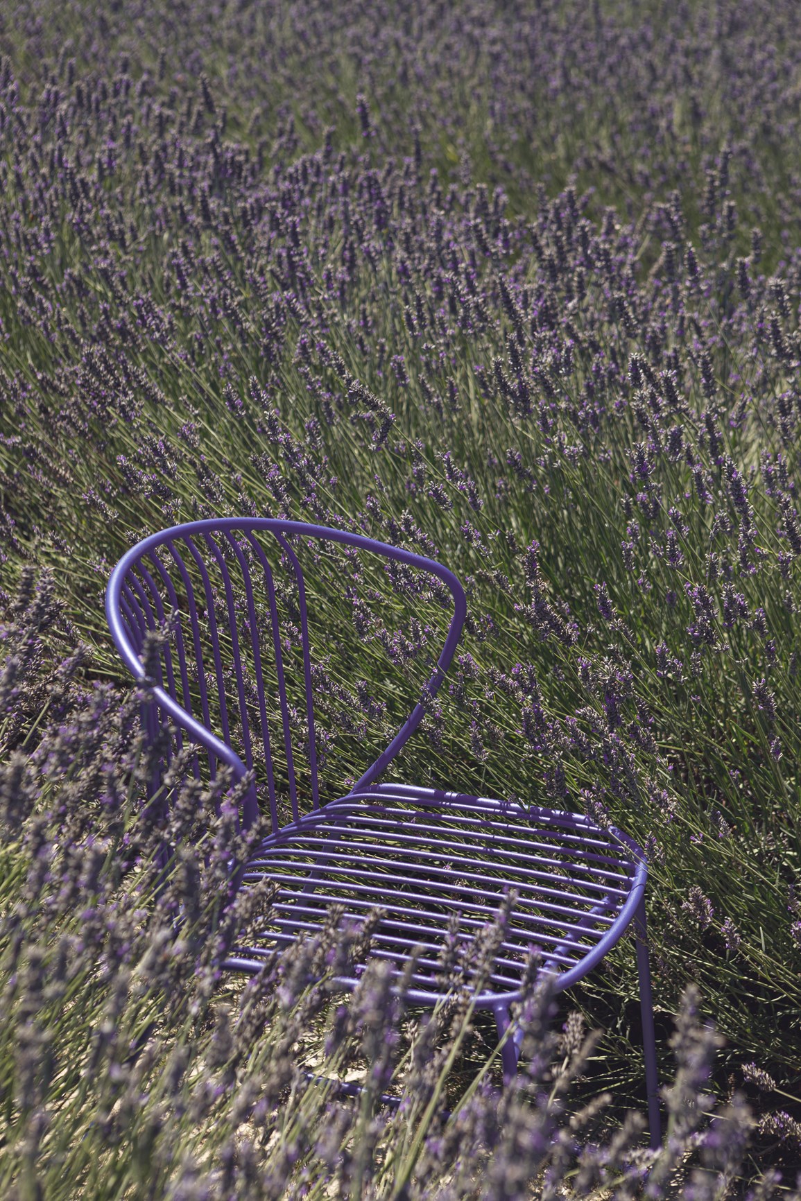 True Design outdoor furniture: chairs, sofas and tables inspired by nature