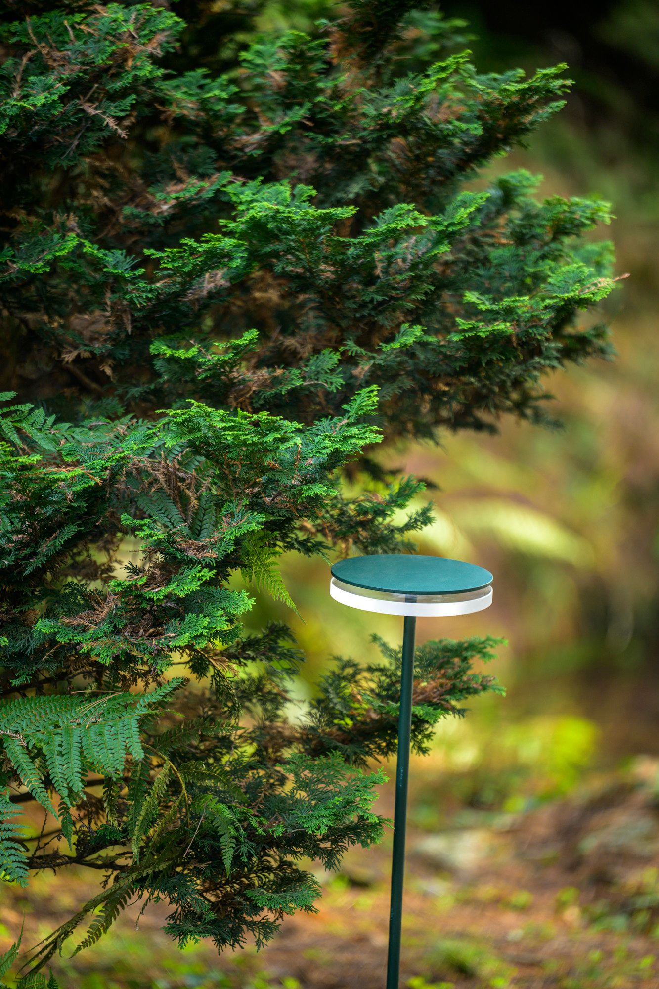Platek outdoor lighting systems in the new Green Forest shade