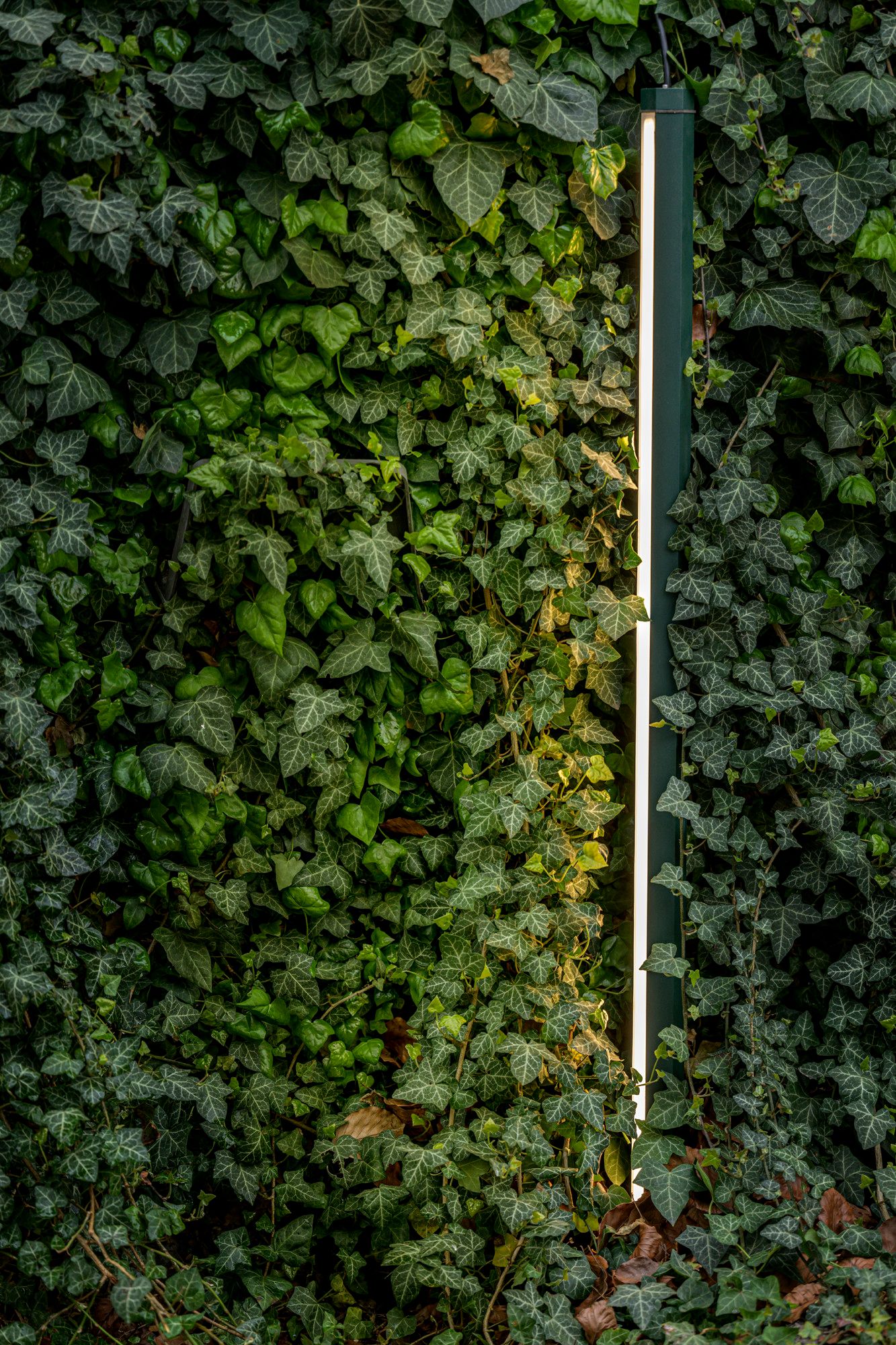 Platek outdoor lighting systems in the new Green Forest shade