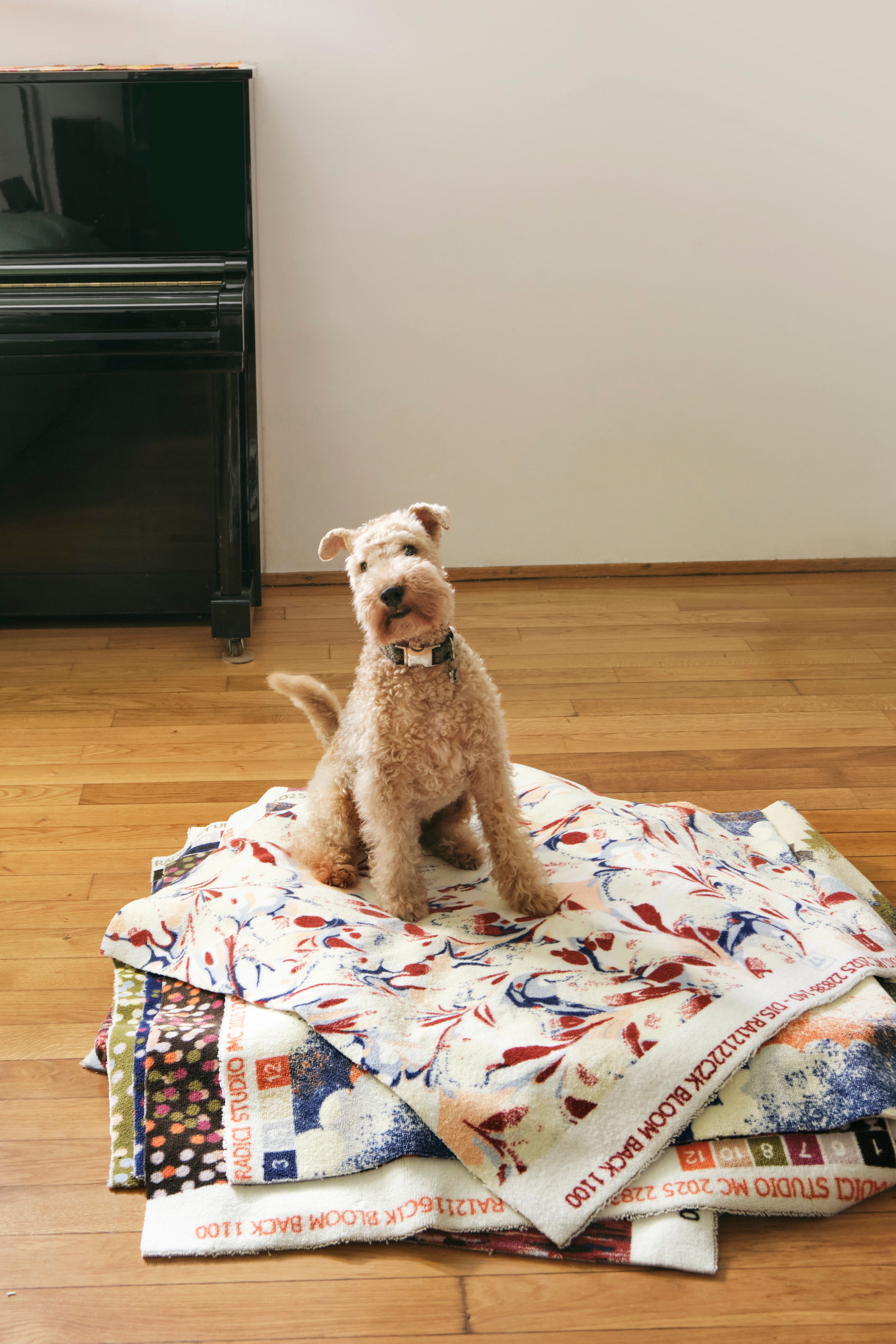 The new Radici carpet collection designed by Serena Confalonieri