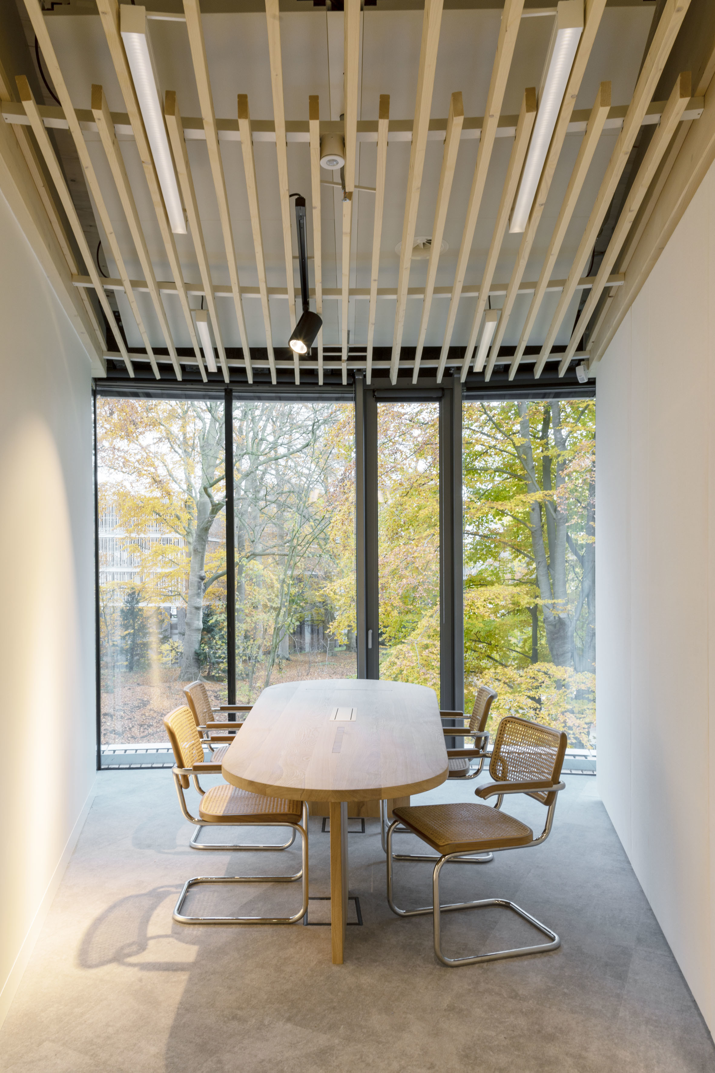 Thonet chair at Triodos Bank in Netherlands