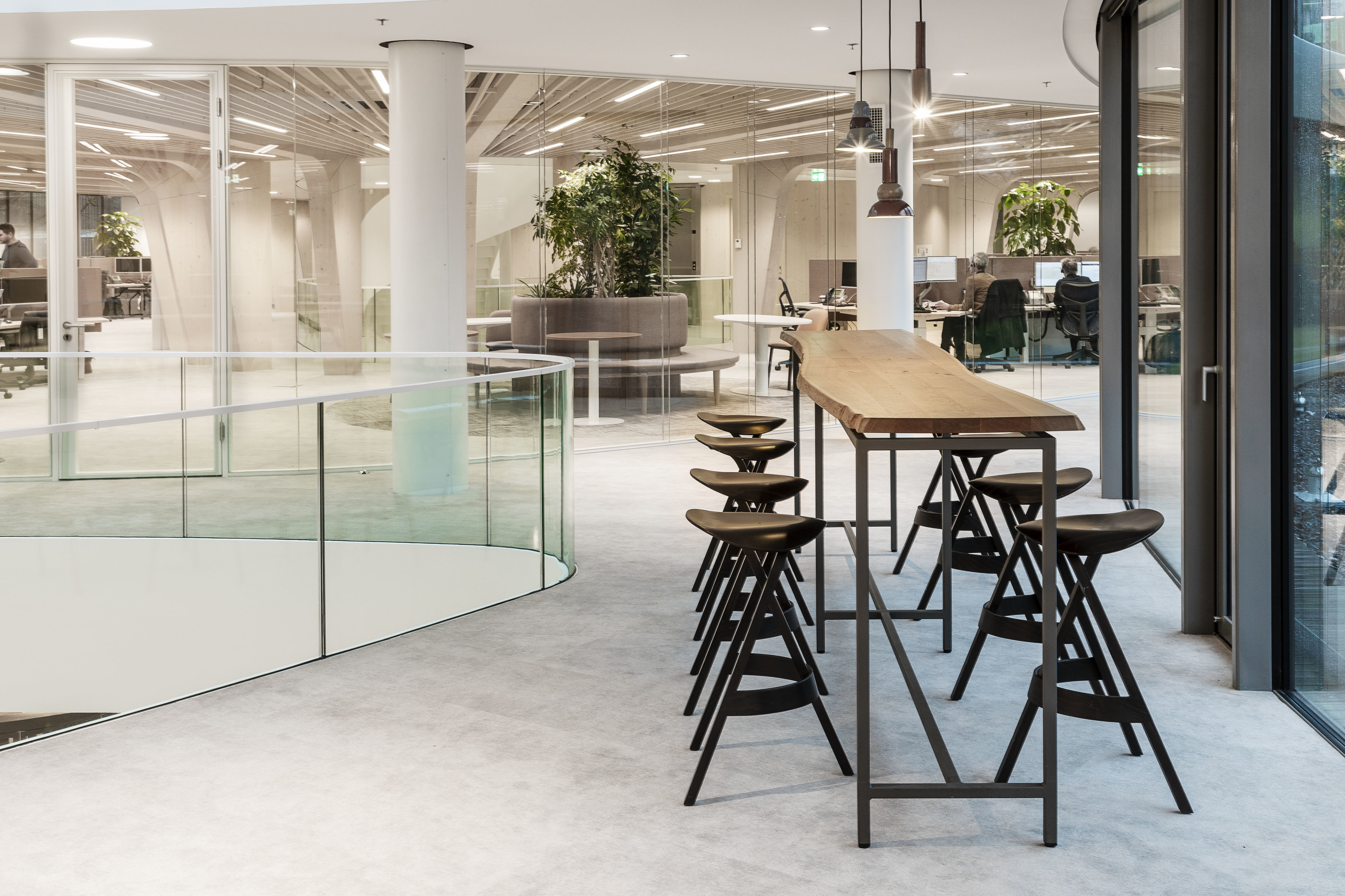 Thonet chair at Triodos Bank in Netherlands