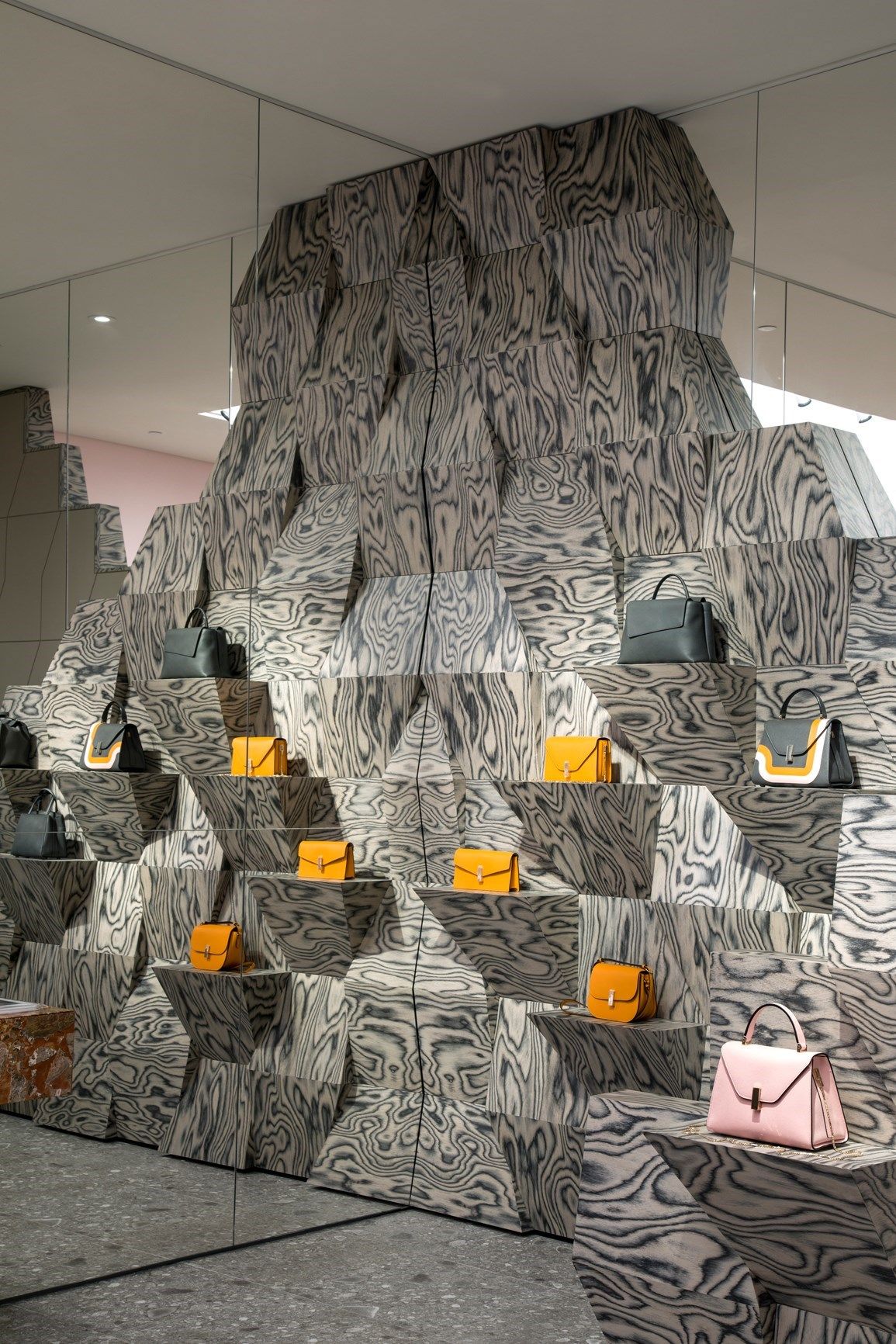 Natural Forms, Fractal Geometry and Modularity