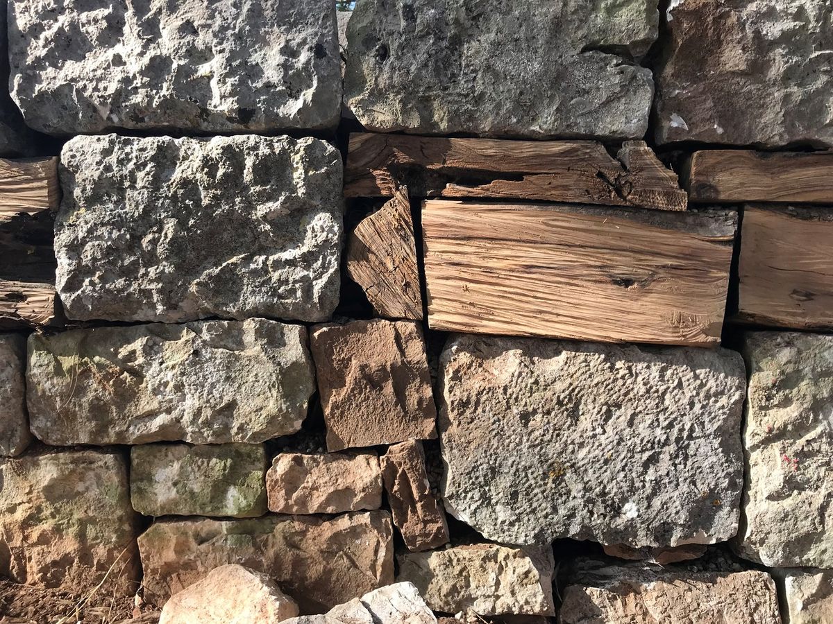 Puglia. Il muretto a secco è ricostruito con il legno degli ulivi ...