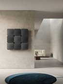 The First Antrax IT Radiator Designed by AMDL CIRCLE