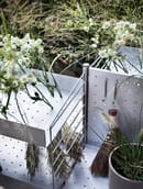 75th anniversary of String System, the iconic shelf by String Furniture