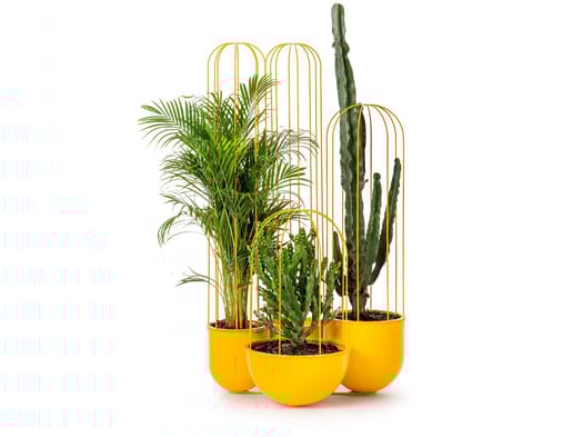 Integrating Greenery into Your Life