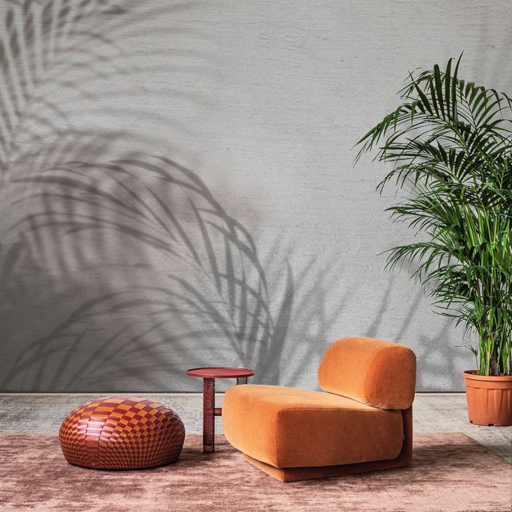 SpaghettiWall tropical wallpapers customizable in color and size
