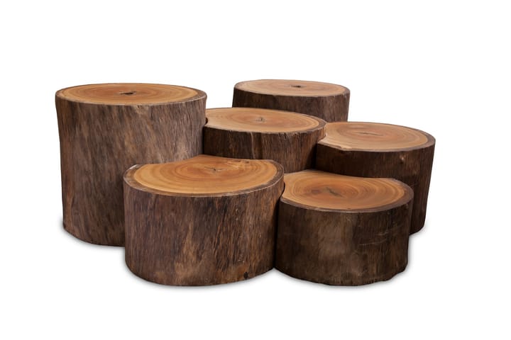 Tora Brasil completes 10 years and celebrates with a new collection