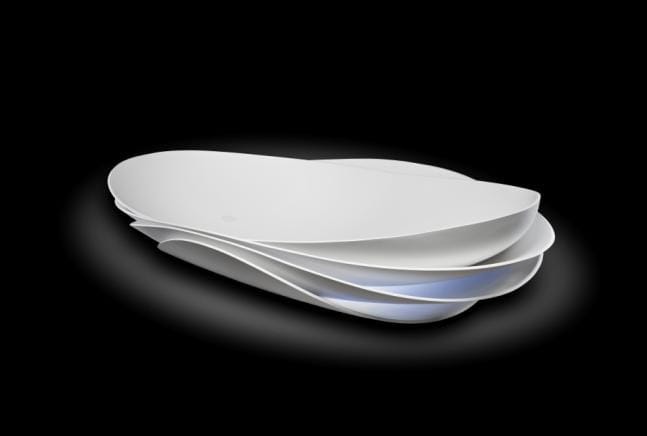 STARON® Art inspired by wildlife