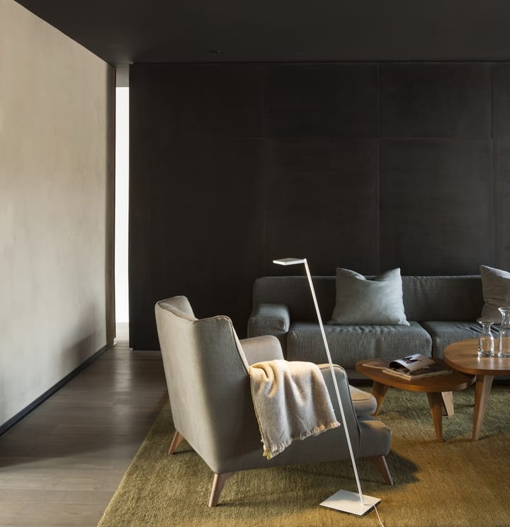 NESS: light and geometry