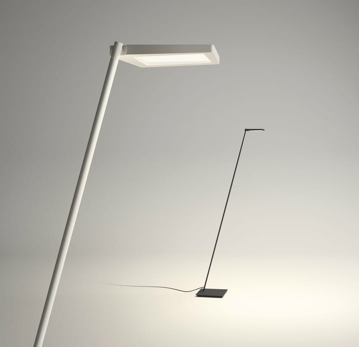 NESS: light and geometry