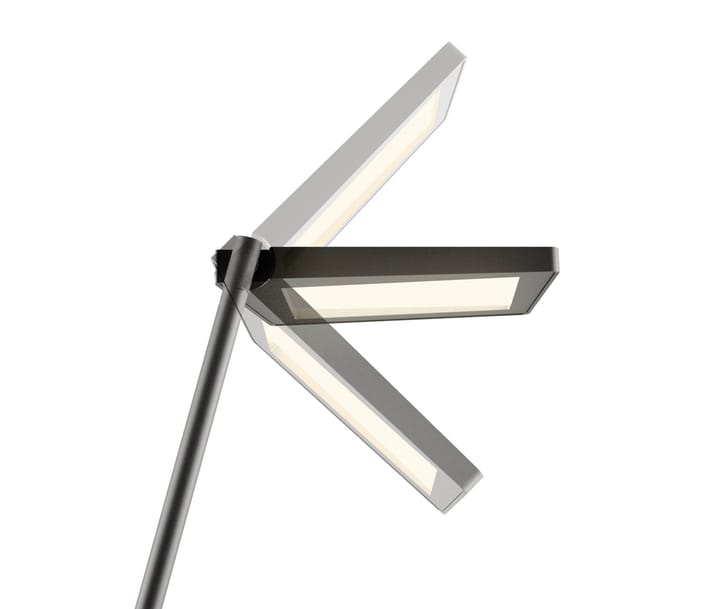 NESS: light and geometry